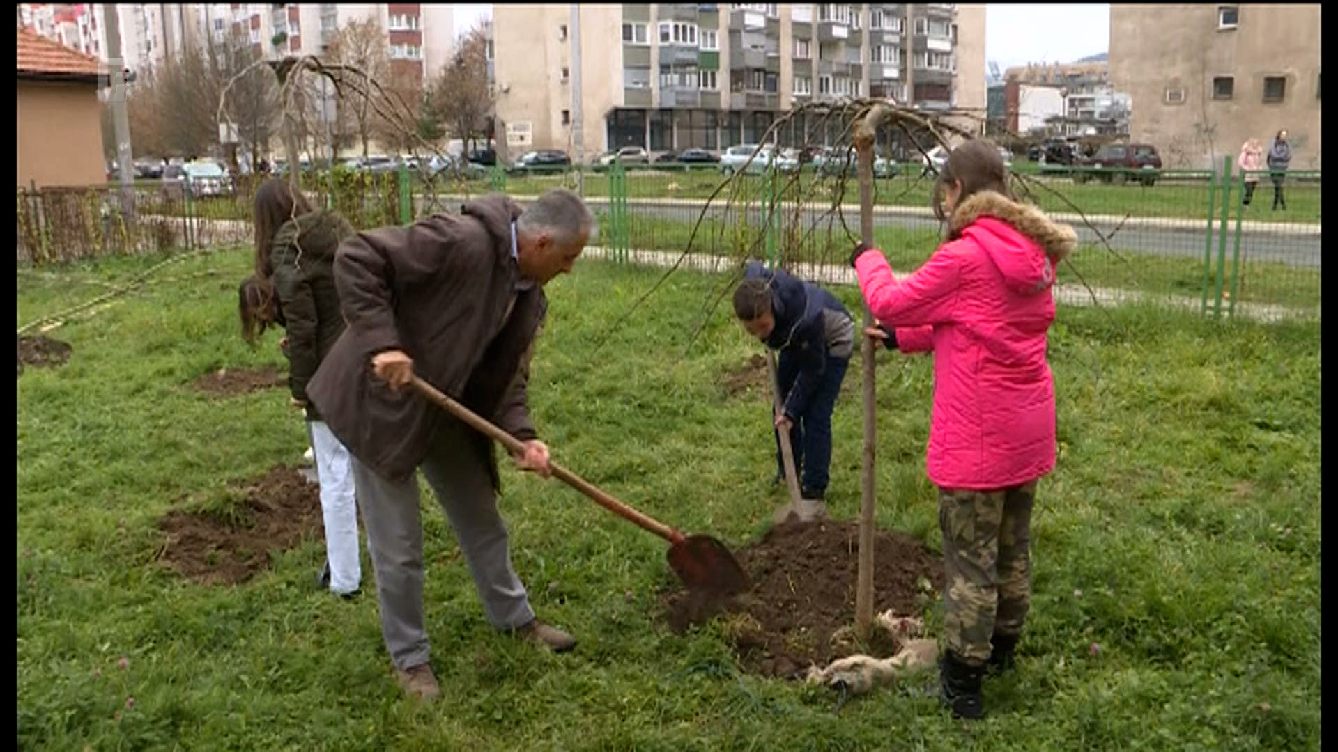 Zenica: U sklopu akcije "Drvo prijateljstva" posađeno 50 sadnica