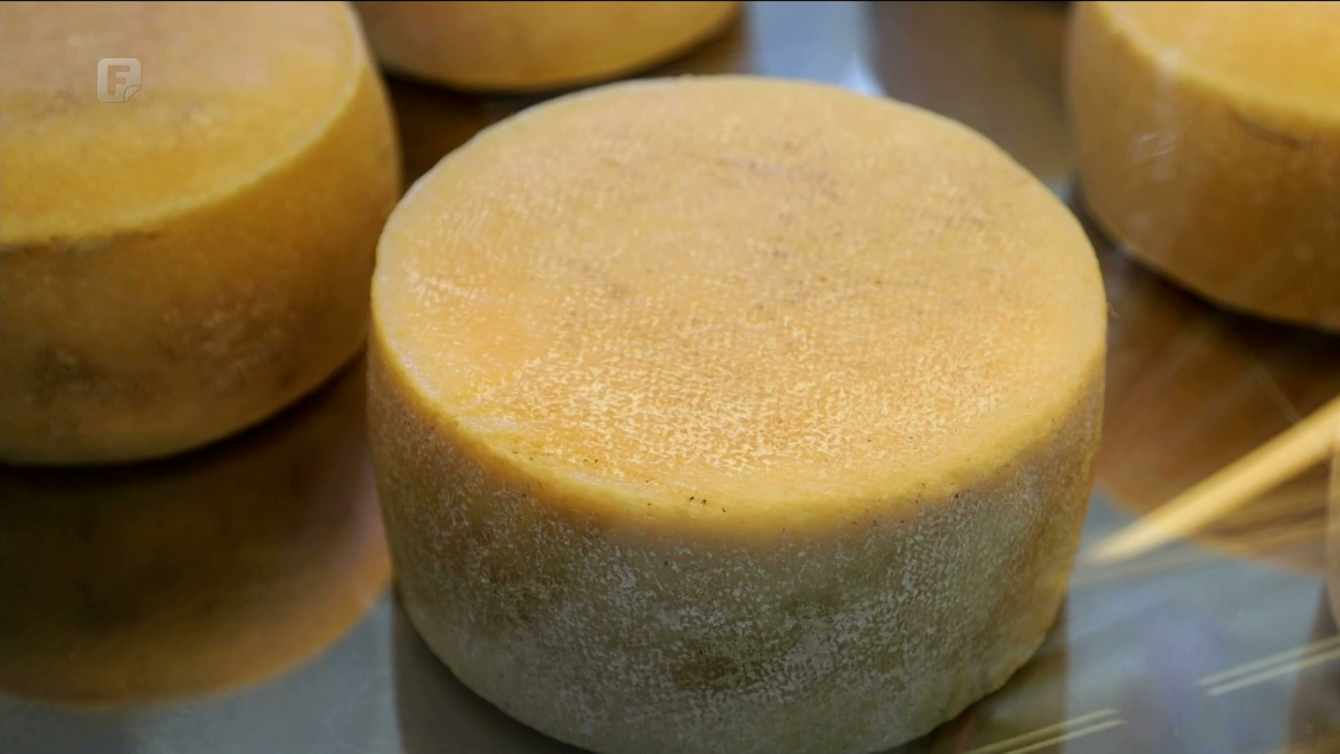 Livanjski sir i dalje ne može preko granice, proizvođači odustaju