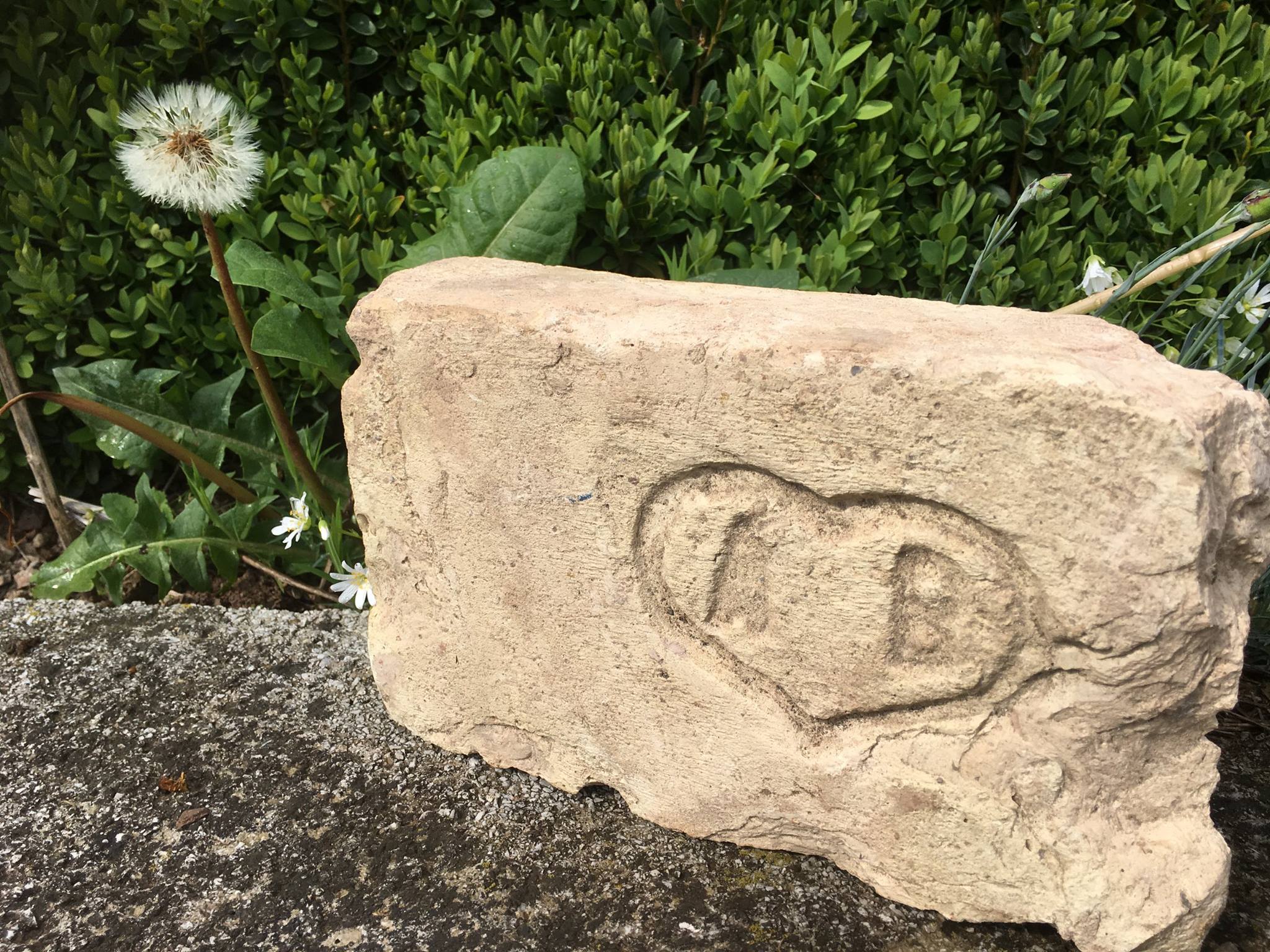 Radio dokument: Mirsad Tukić – Cigla u mome kaminu